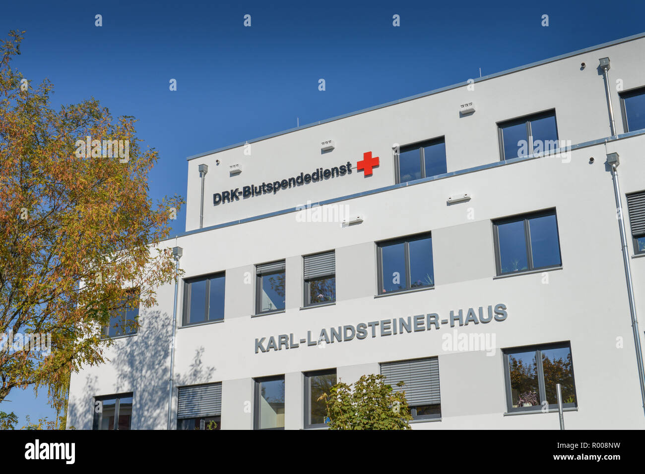 German Red Cross-blood donation service, Hindenburg's dam, to light ...