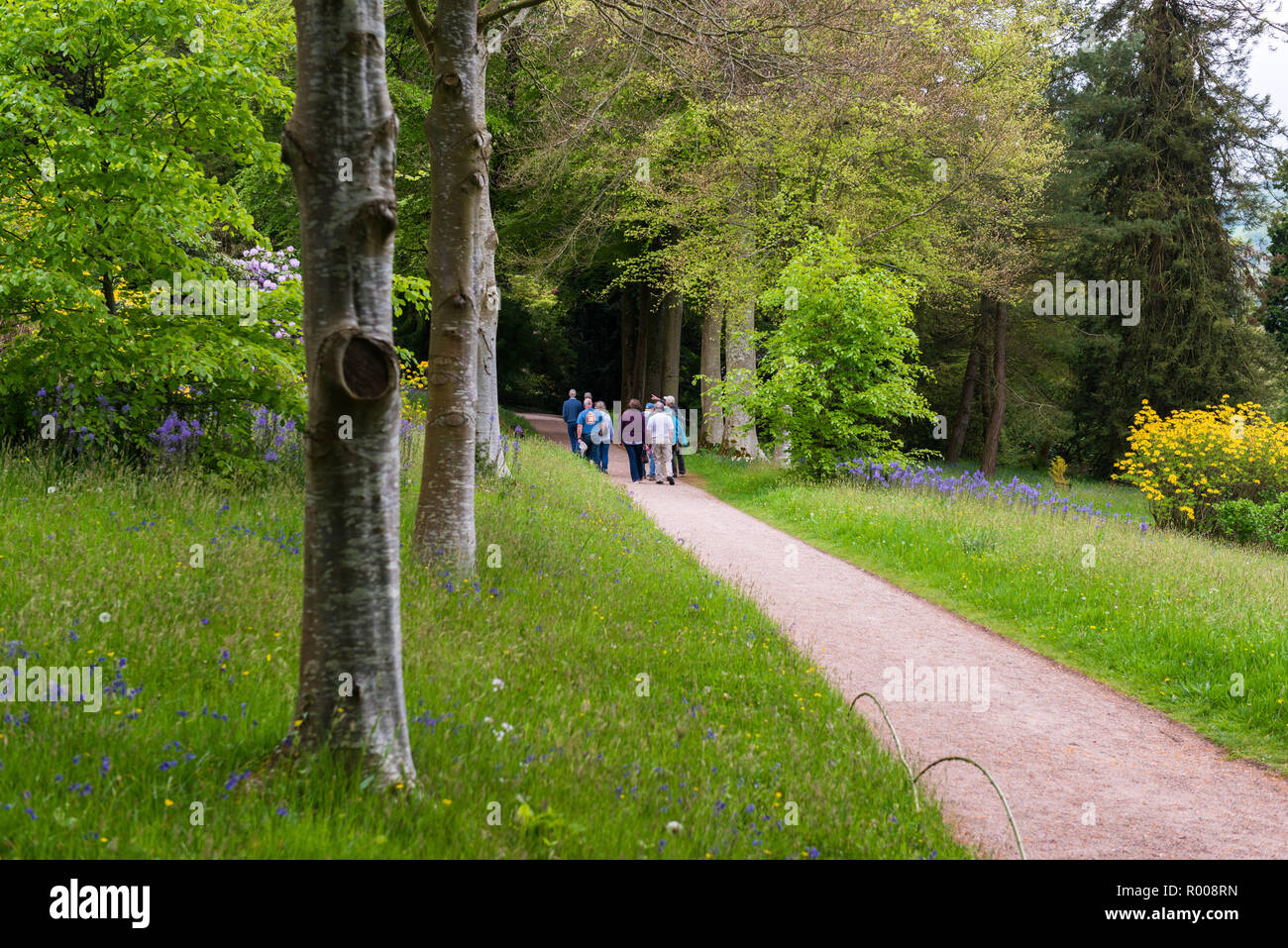 Ramblers hi-res stock photography and images - Alamy