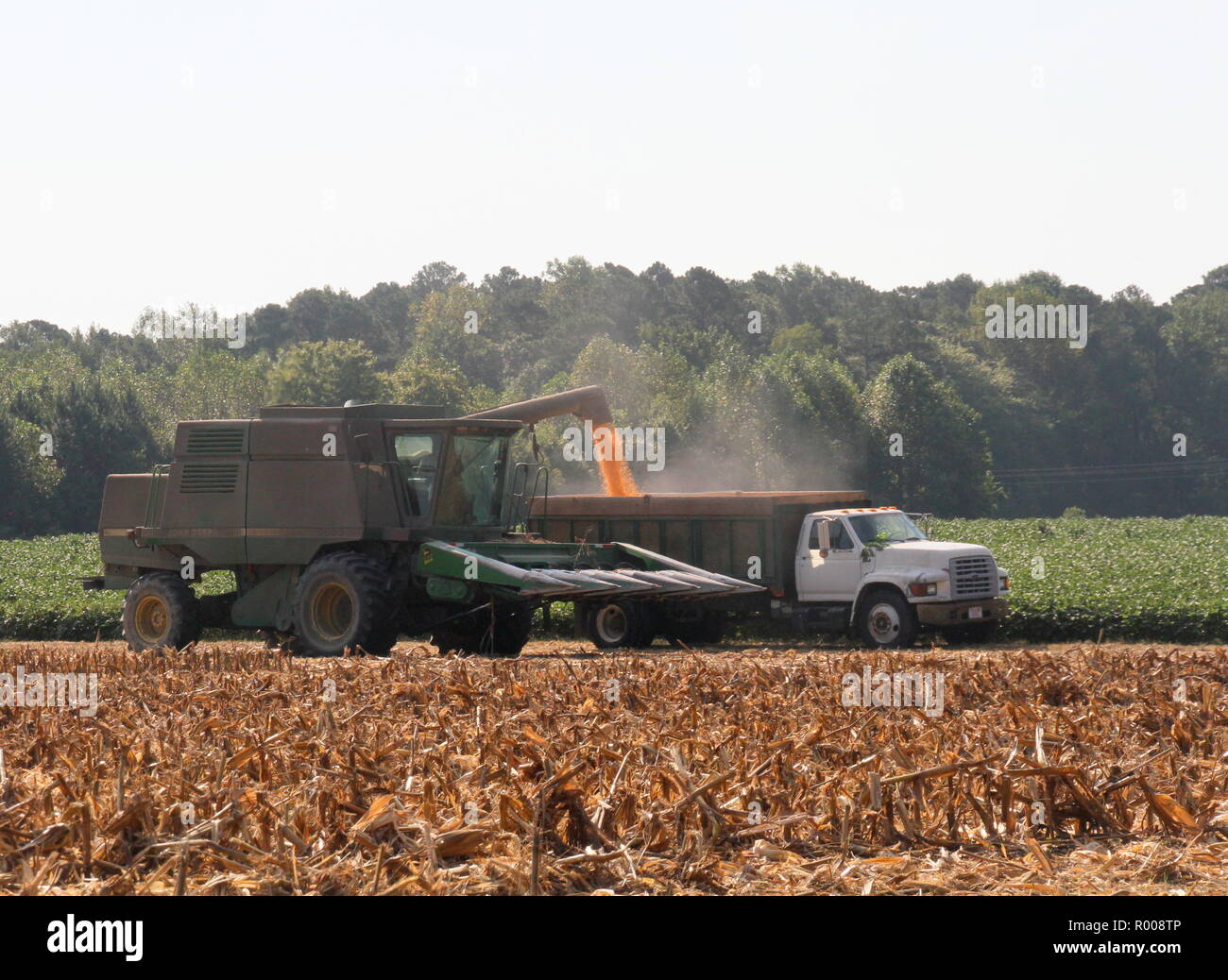 Virginia corn harvest Stock Photo - Alamy