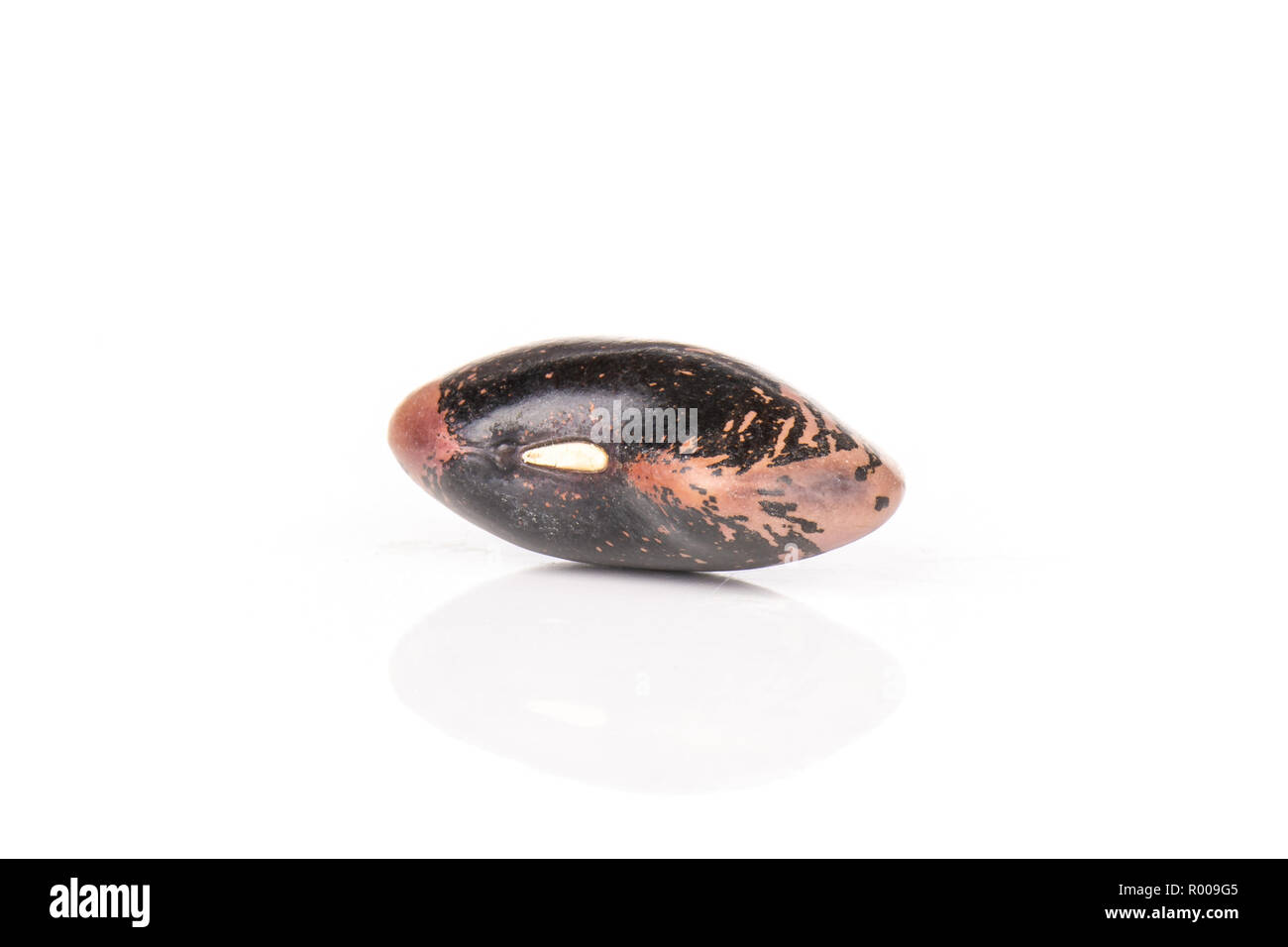 One whole speckled colored butter beans painted lady scarlet runner ...