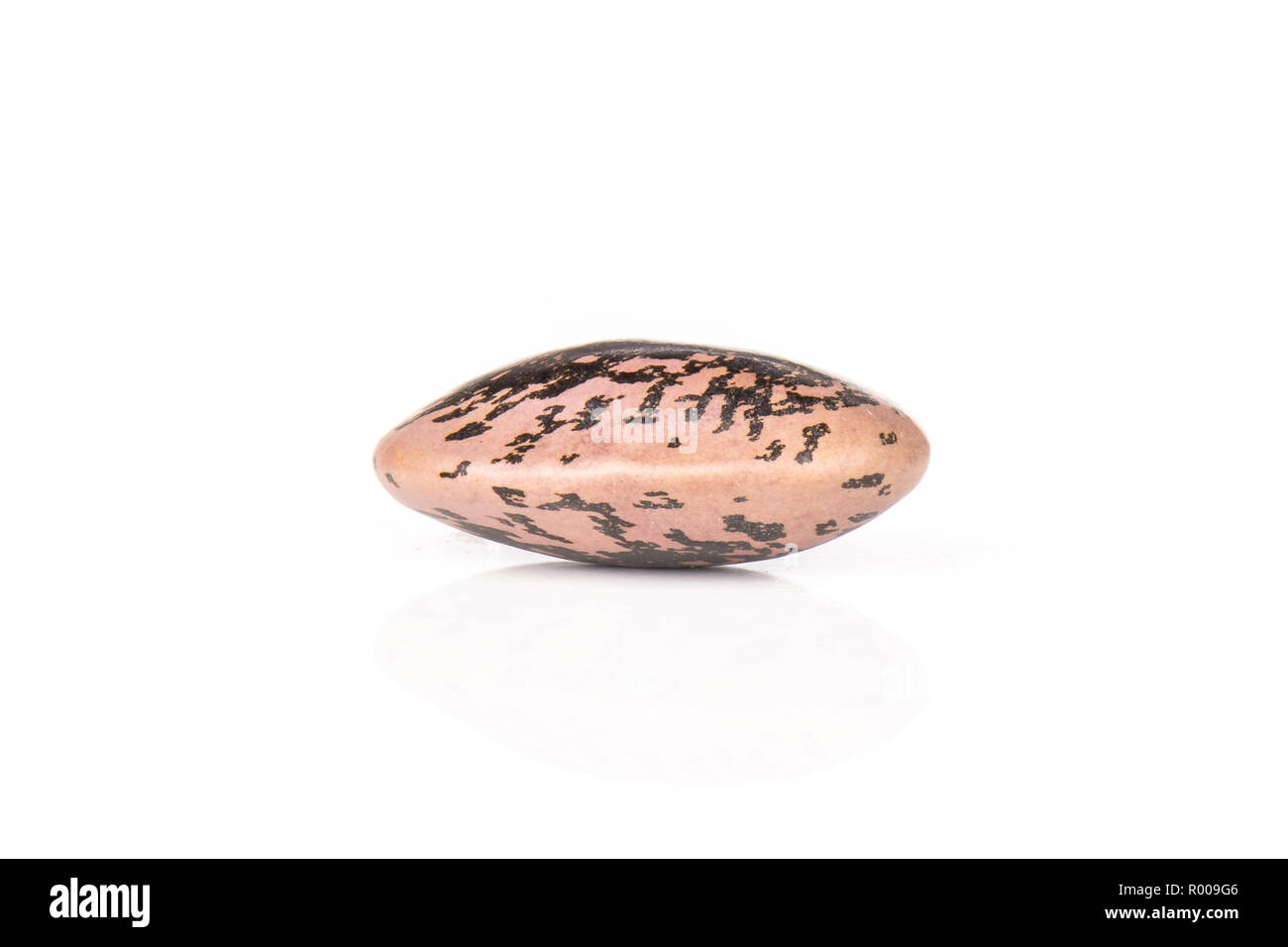 One whole raw speckled colored butter beans painted lady scarlet runner ...