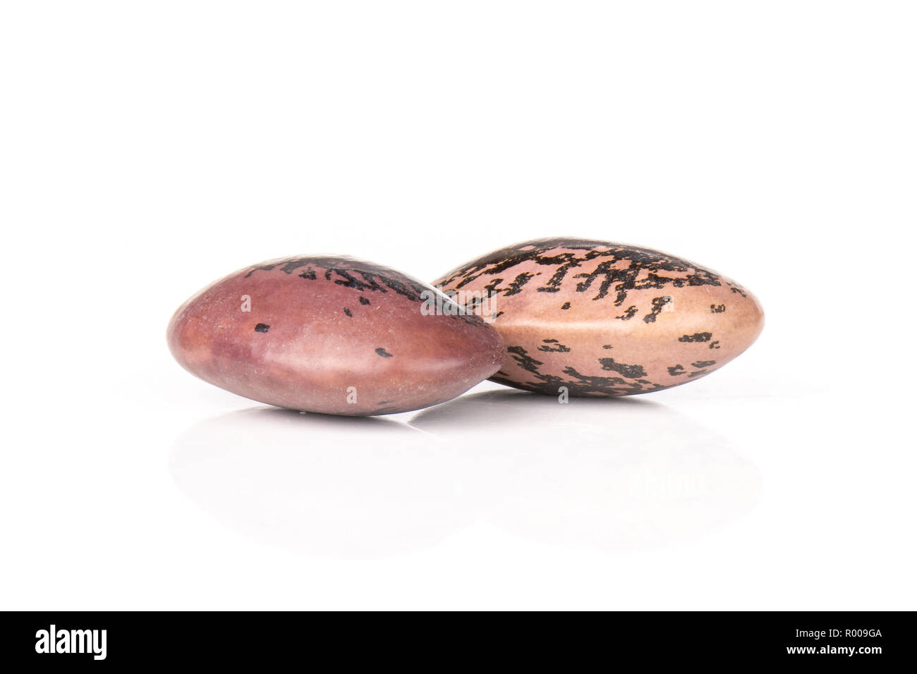 Group of two whole speckled colored butter beans painted lady scarlet ...