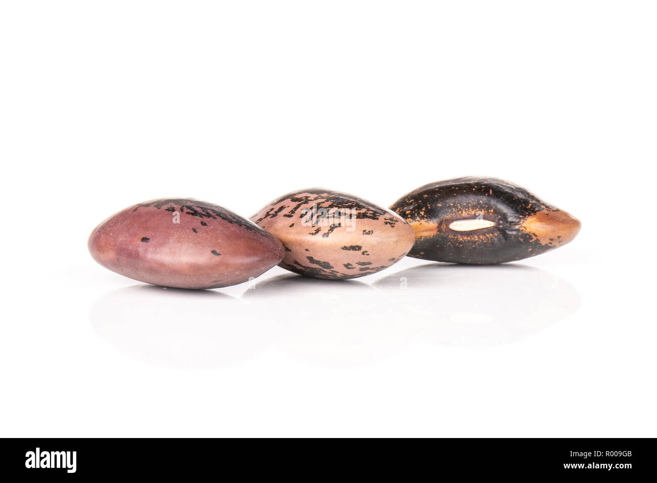 Group of three whole speckled colored butter beans painted lady scarlet ...