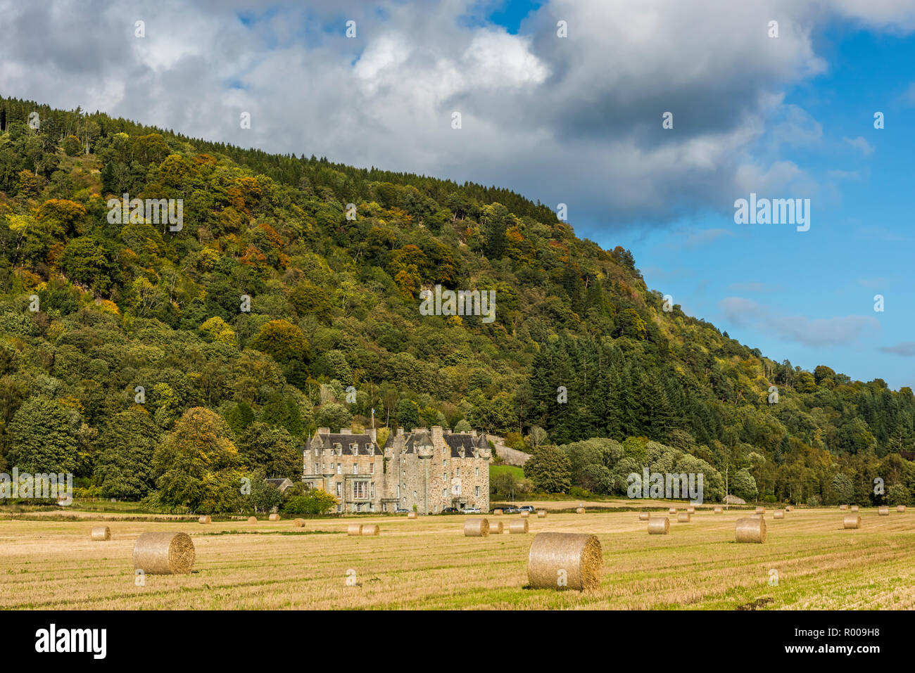 Menzies hi-res stock photography and images - Alamy