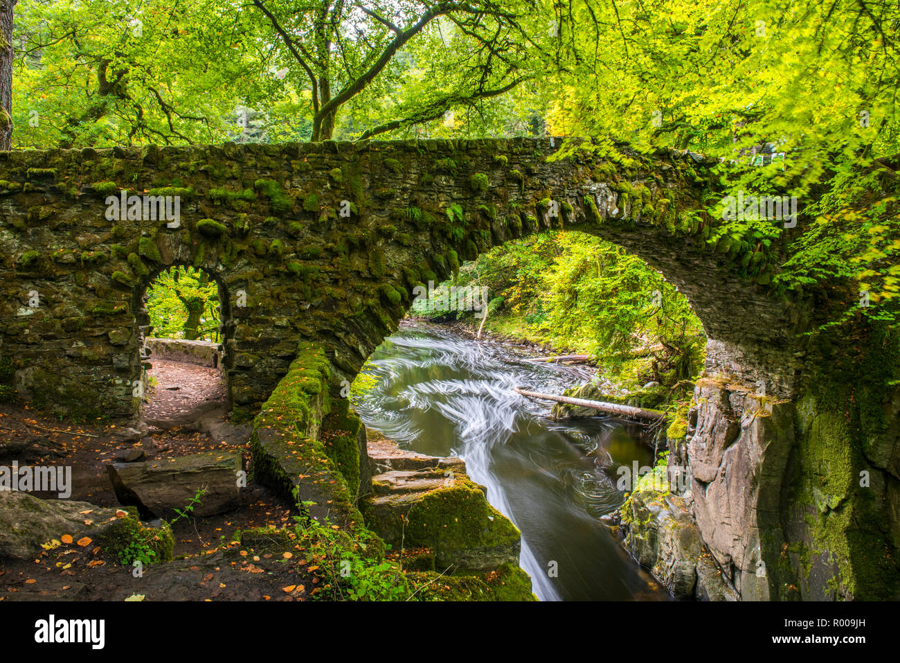Hermitage Bridge at The Hermitage woodland in Dunkeld, Perthshire ...