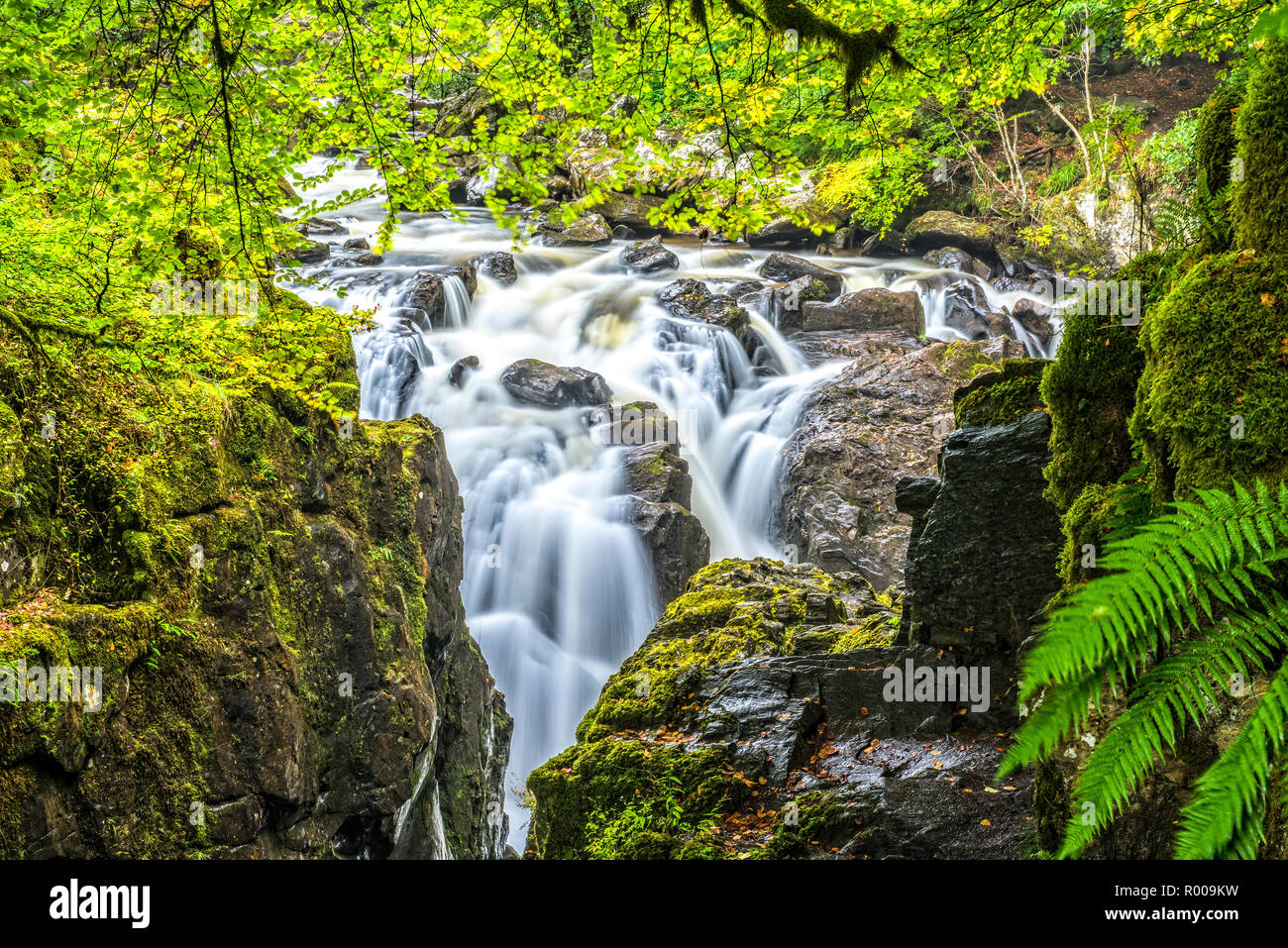 Waterfall river dunkeld scotland hi-res stock photography and images ...