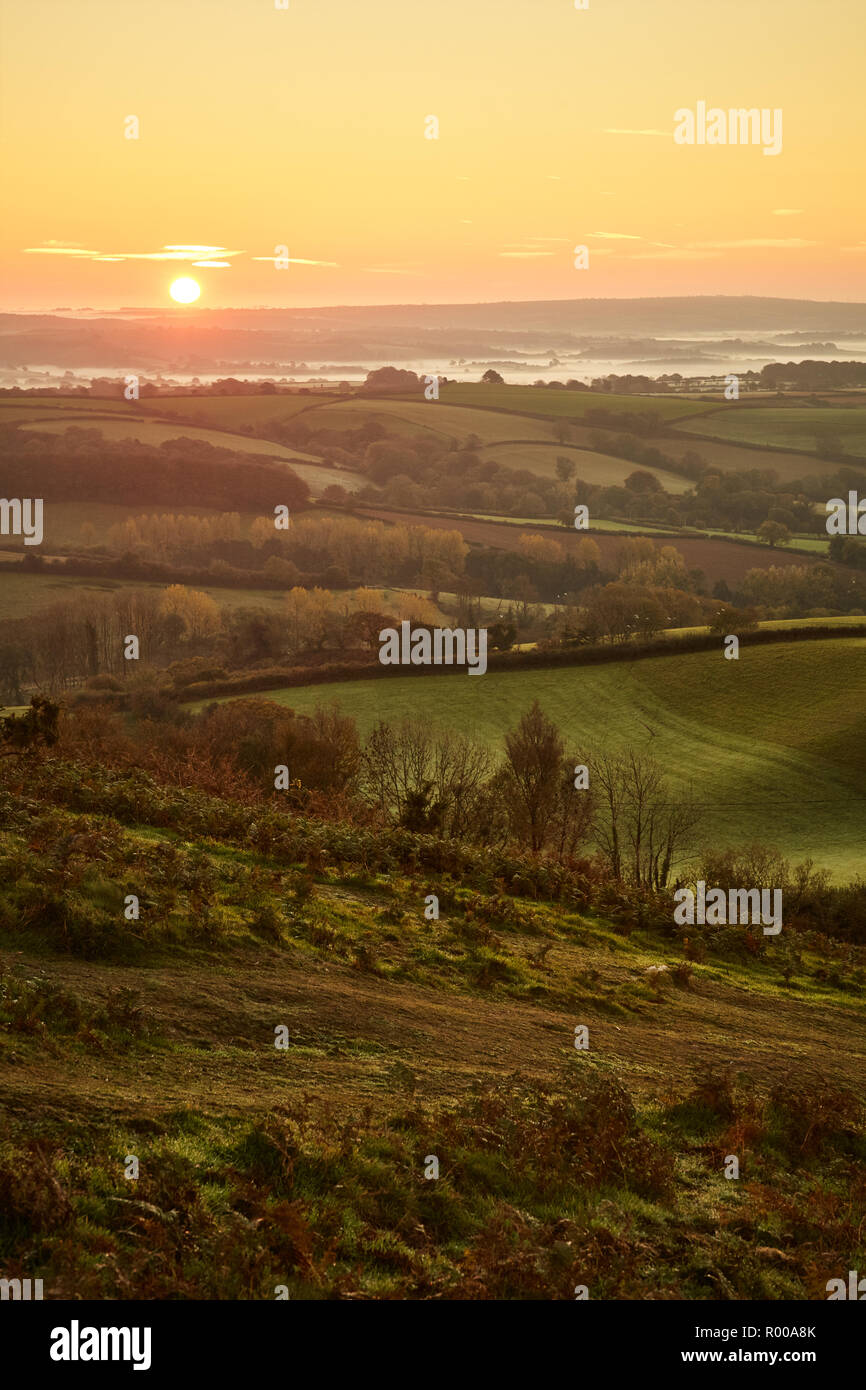Looking down from the top of Pilsdon Pen hill in Dorset at farming land ...