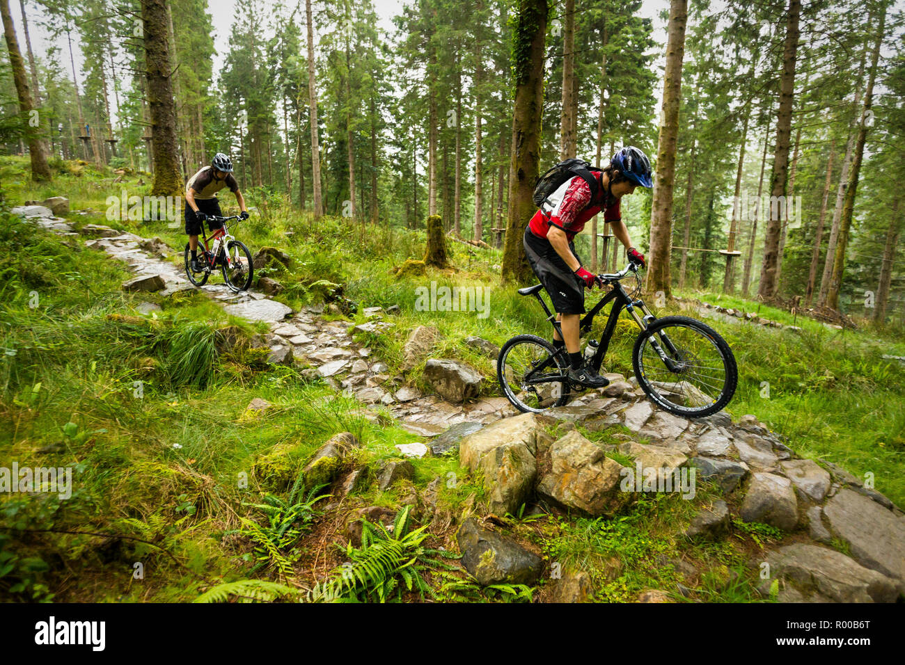 Back trail hi-res stock photography and images - Alamy
