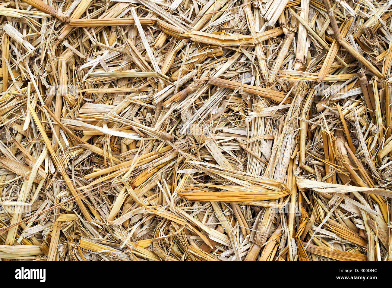 Closeup of dry straw texture nature background Stock Photo - Alamy