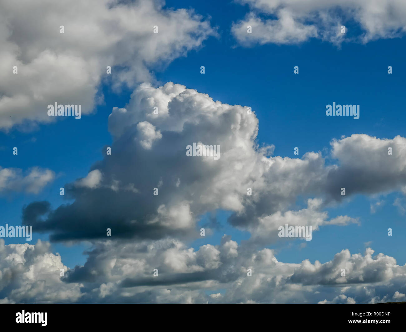 Pictorial cycles hi-res stock photography and images - Alamy