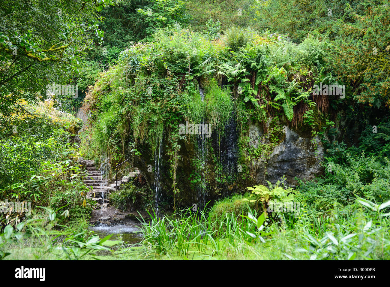Waterfall and pond at Wishing Steps within the Rock Close at Blarney ...