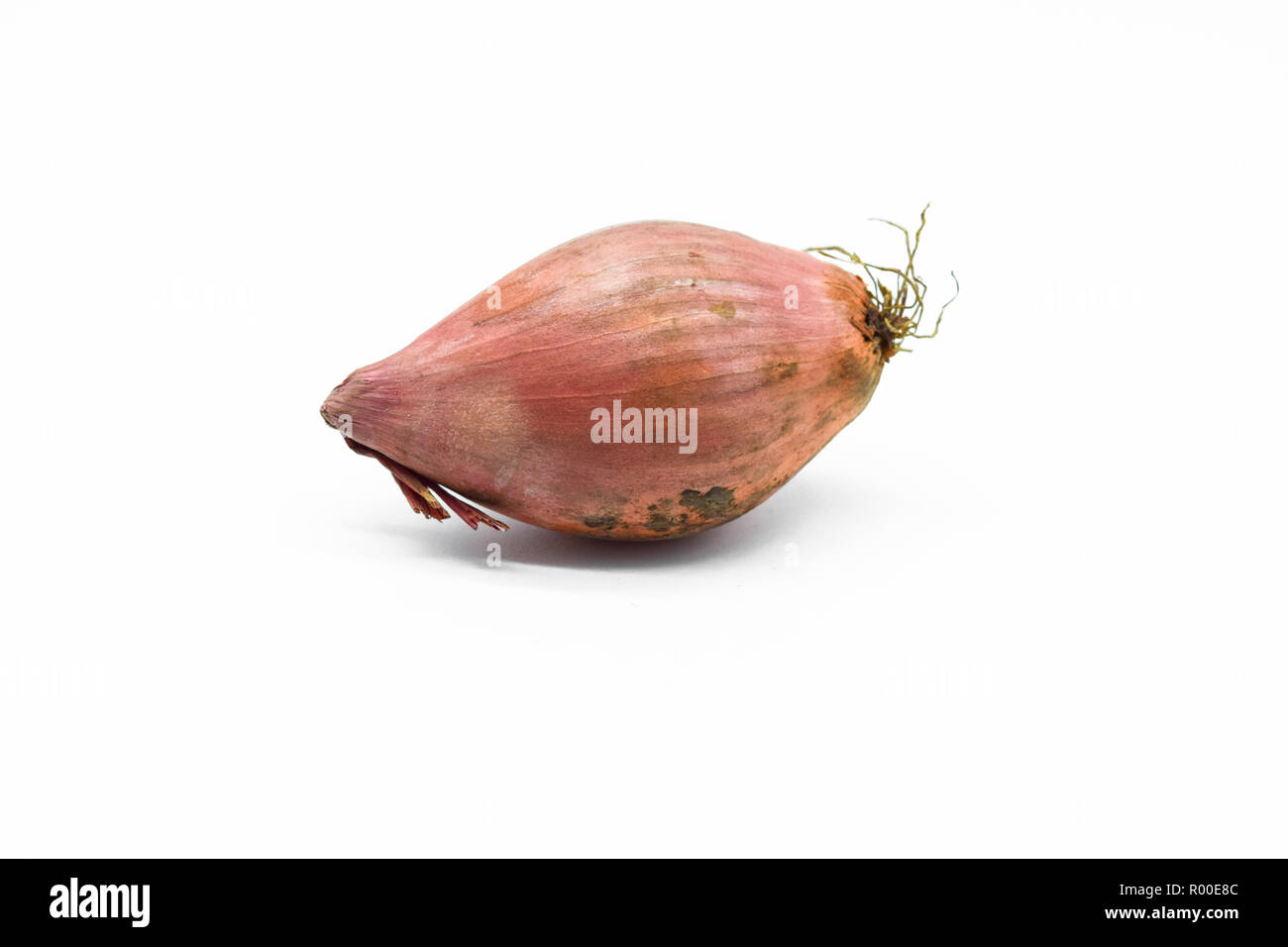 Shallot isolated on white background Stock Photo - Alamy