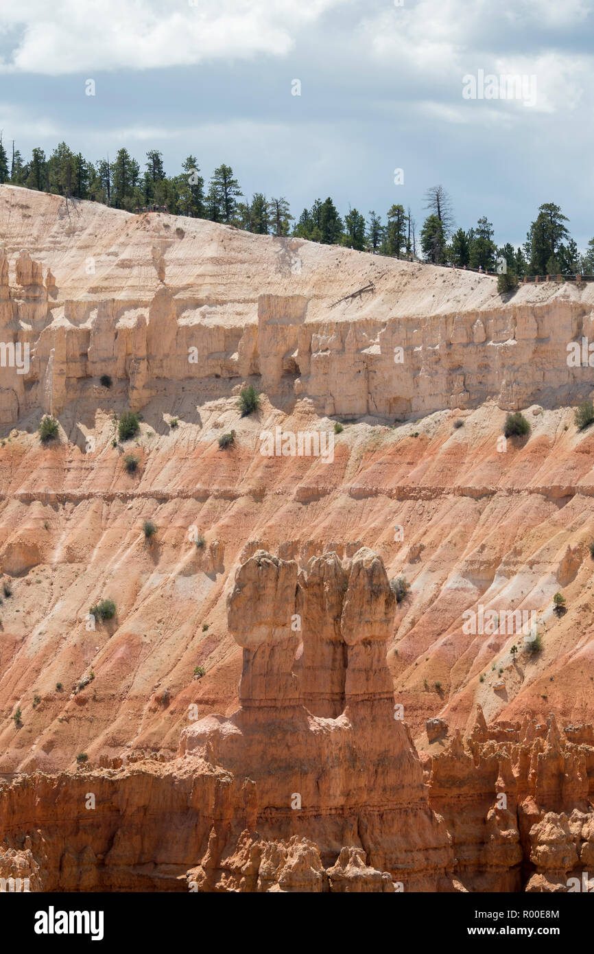 landscape on the bryce canyon in the united states of america Stock ...