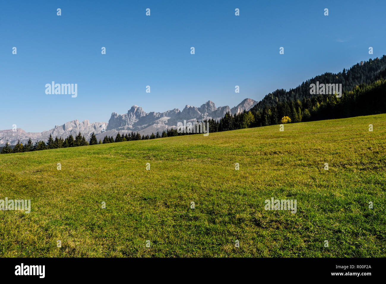 alpine meadow on the italian alps Stock Photo - Alamy