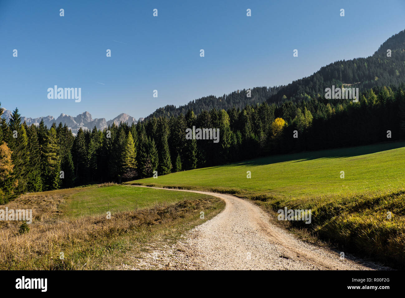 road on the italian alps during fall Stock Photo - Alamy