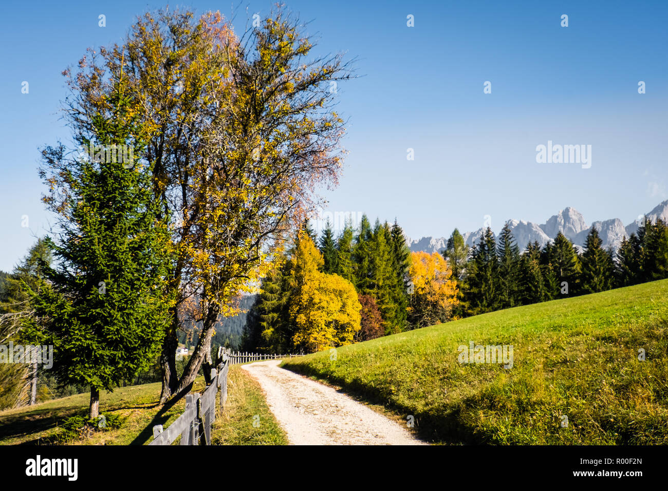 road on the italian alps during fall Stock Photo - Alamy