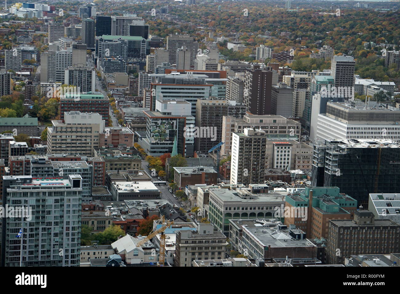 Montreal from the 46th floor of observation tower Stock Photo - Alamy