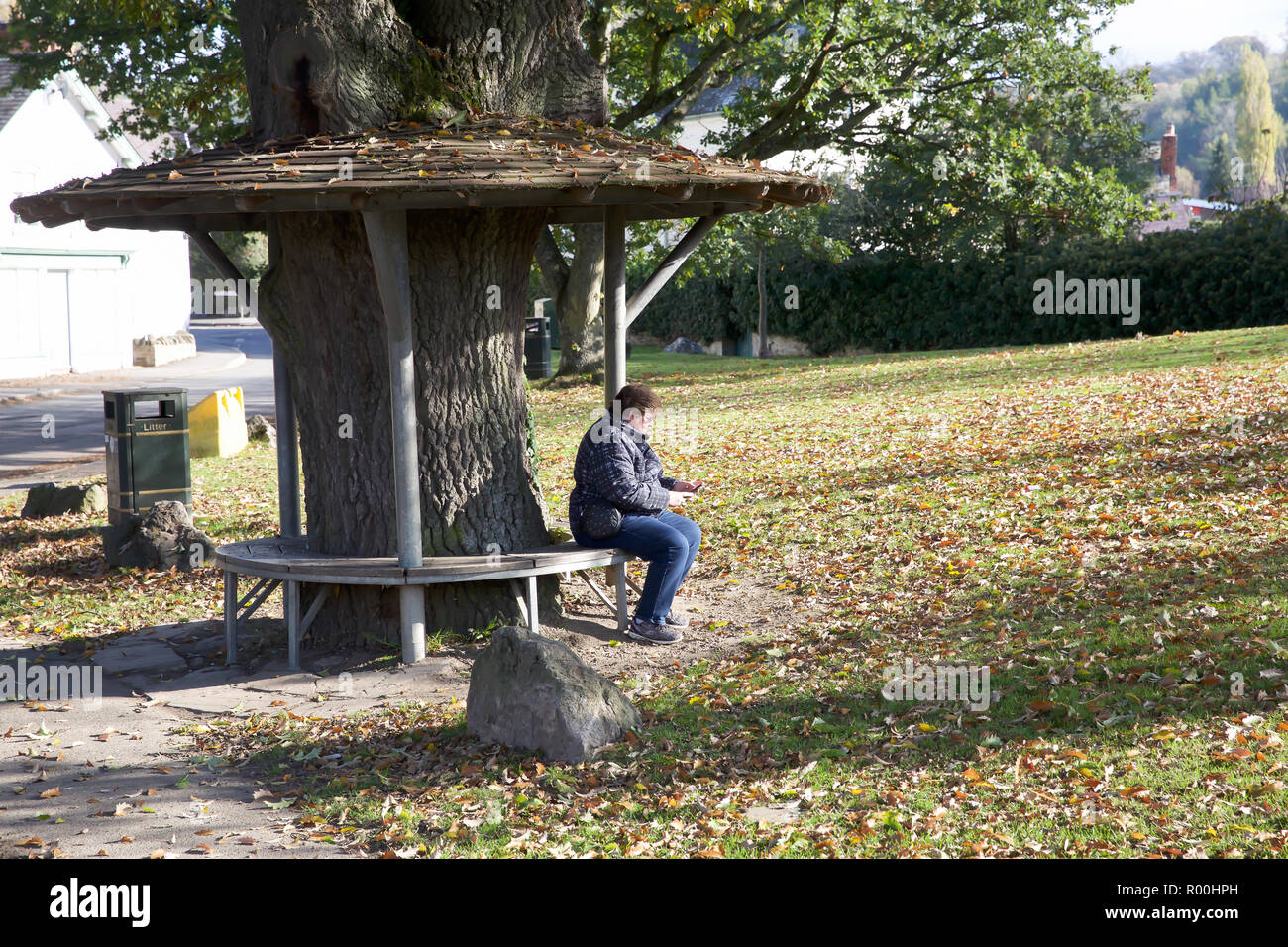 Sit under tree by river hi-res stock photography and images - Alamy