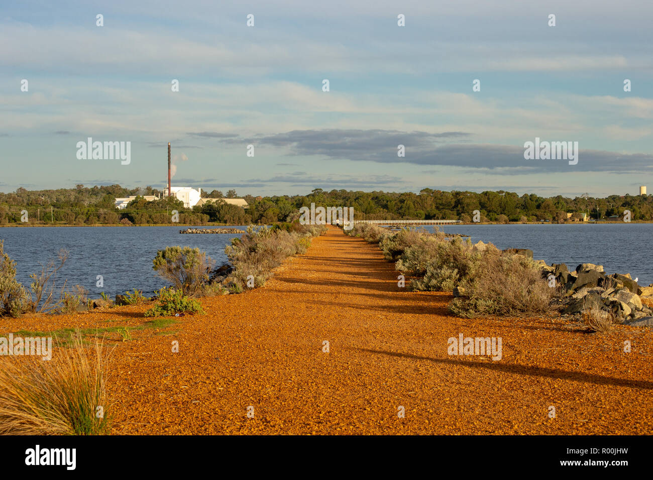 Australind High Resolution Stock Photography and Images - Alamy