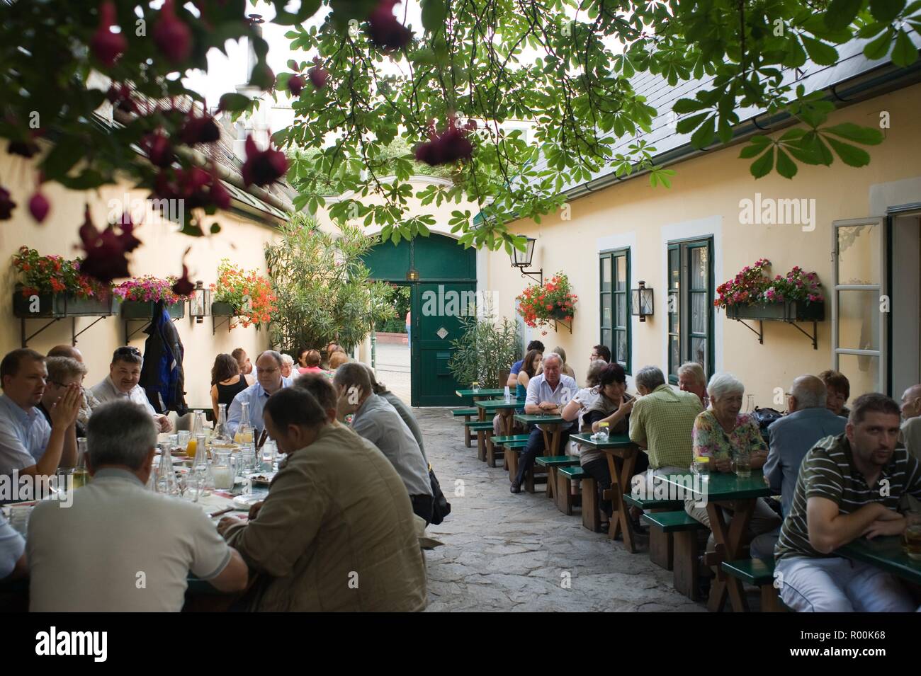 Wien, Heuriger 10er Marie - Vienna, Wine Bar 10er Marie Stock Photo - Alamy