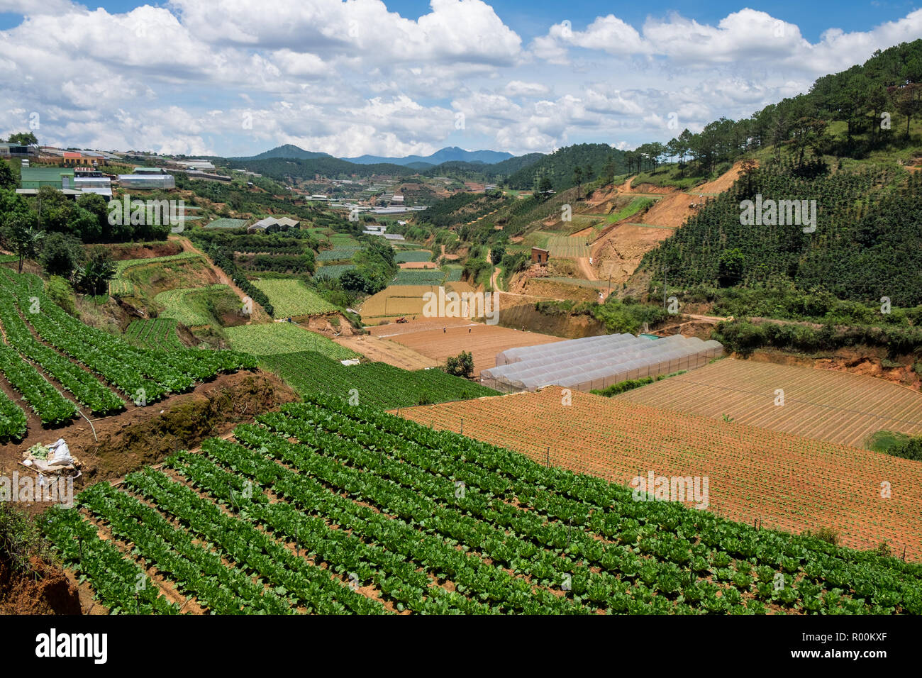 Landscape of the suburb of Dalat, Vietnam. Da lat is one of the best ...