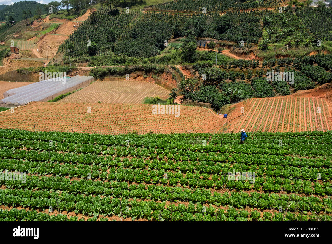 Landscape of the suburb of Dalat, Vietnam. Da lat is one of the best ...