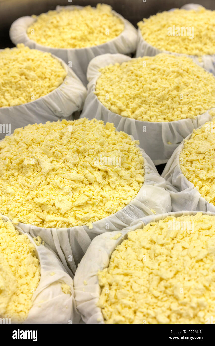 The process of making cheese seperating the Curds from the Whey No. 7 ...