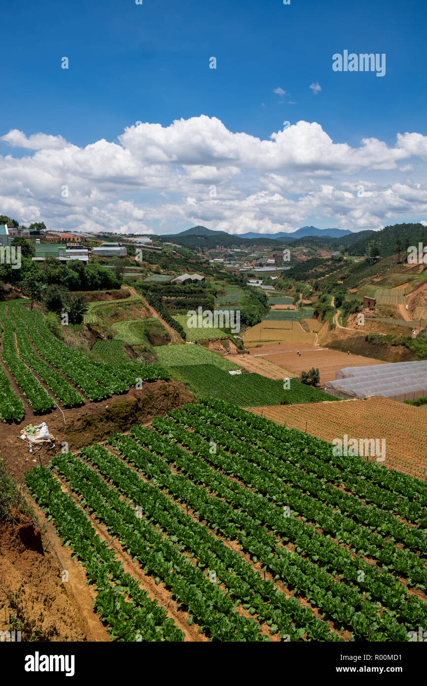 Landscape of the suburb of Dalat, Vietnam. Da lat is one of the best ...
