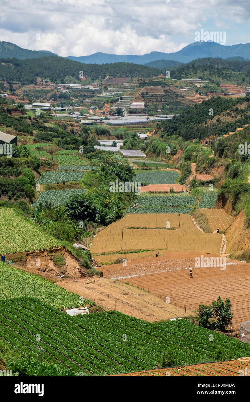 Landscape of the suburb of Dalat, Vietnam. Da lat is one of the best ...