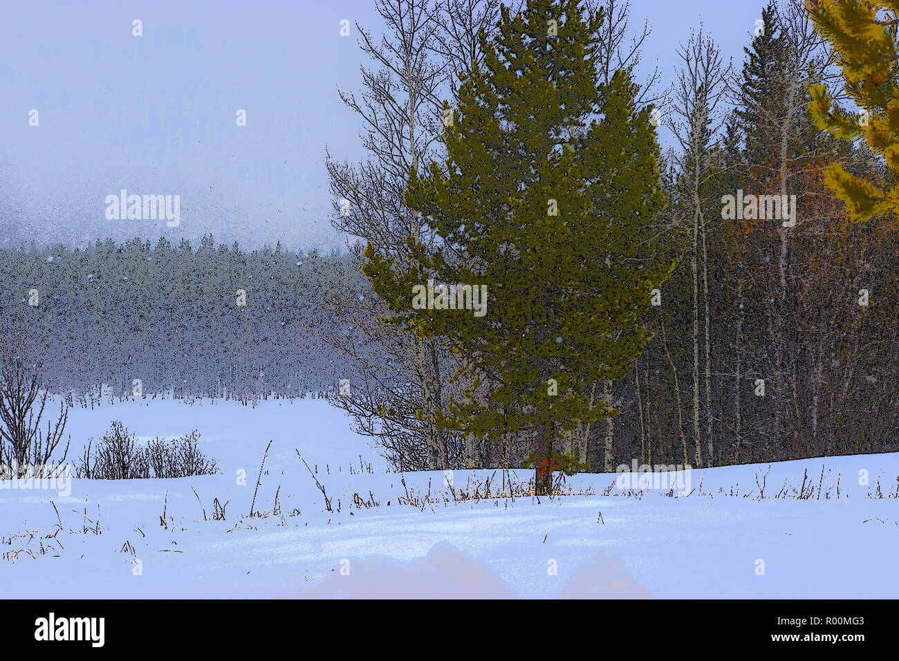winter scenes in the Rocky mountains of Alberta Stock Photo - Alamy