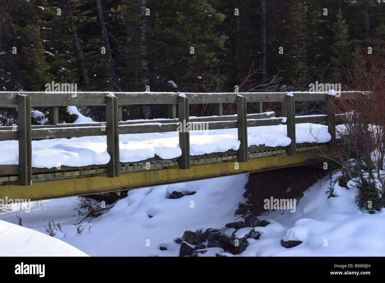 winter scenes in the Rocky mountains of Alberta Stock Photo - Alamy