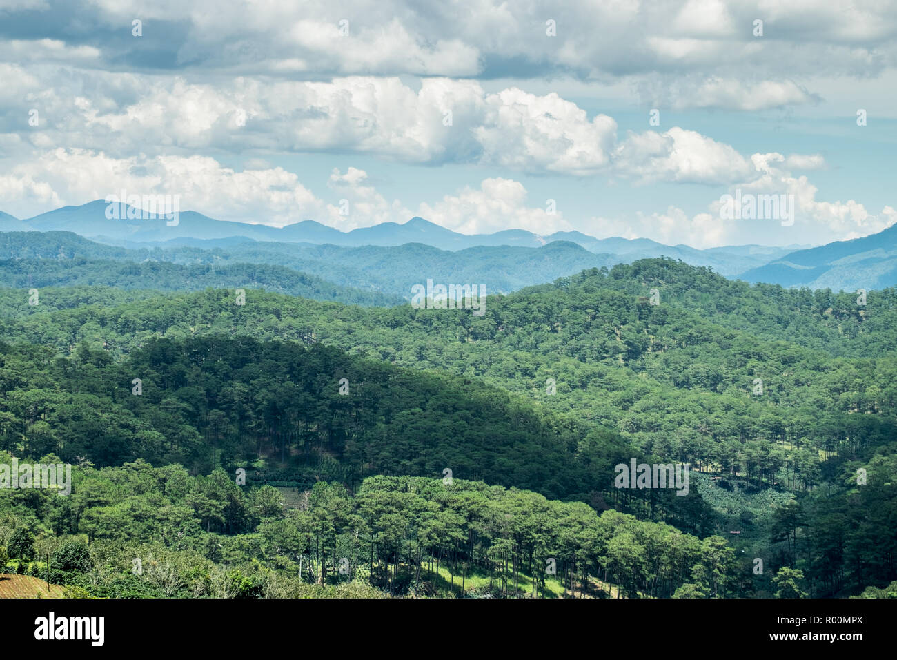 Landscape of the suburb of Dalat, Vietnam. Da lat is one of the best ...