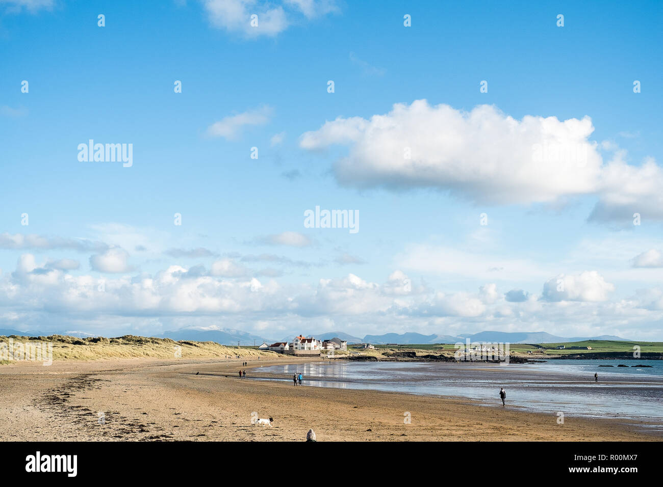 Traeth llydan sand dunes hi-res stock photography and images - Alamy
