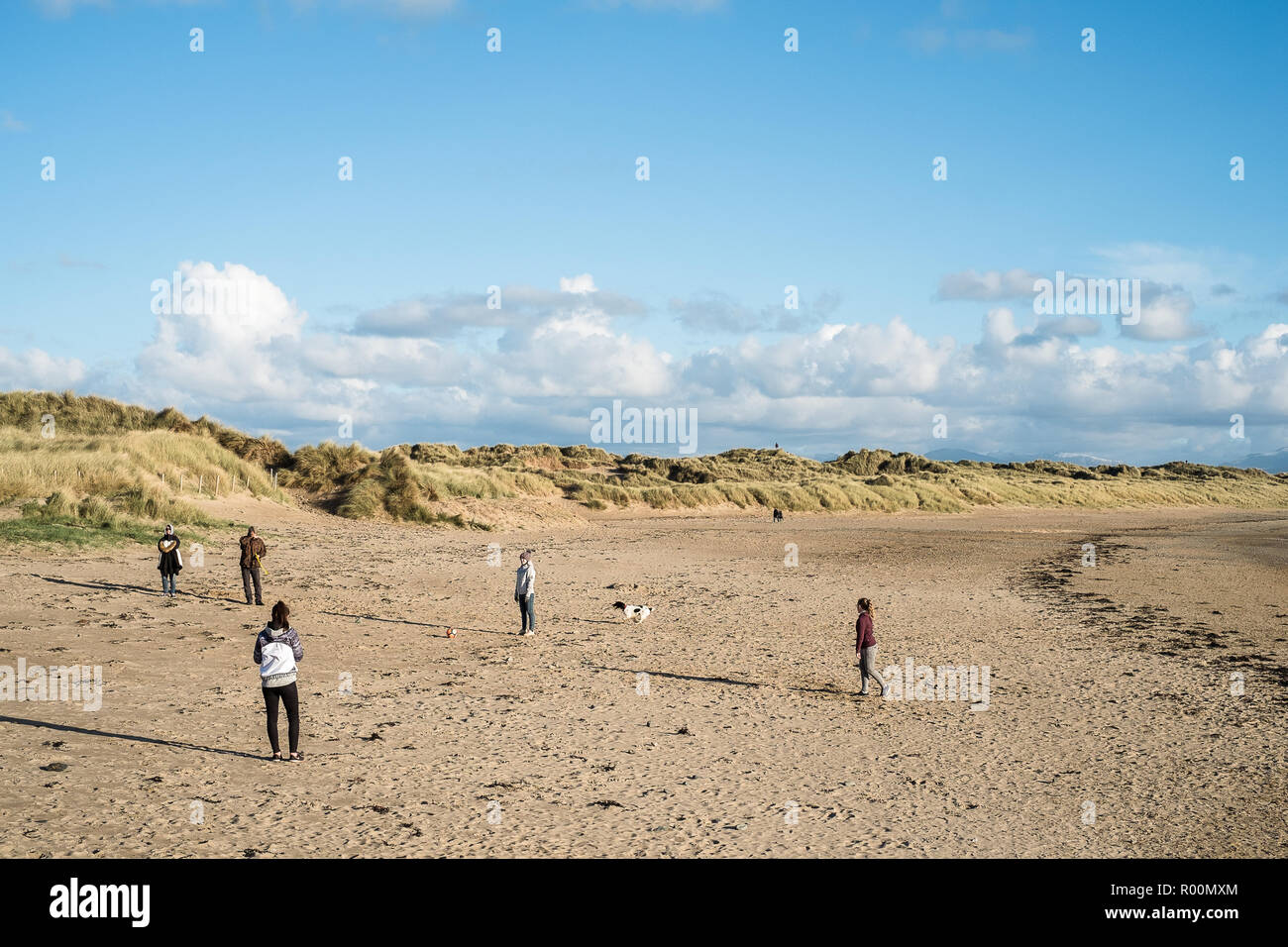 Family and dog playing on Broad Beach, Rhosneigr, North Wales, Anglesey ...