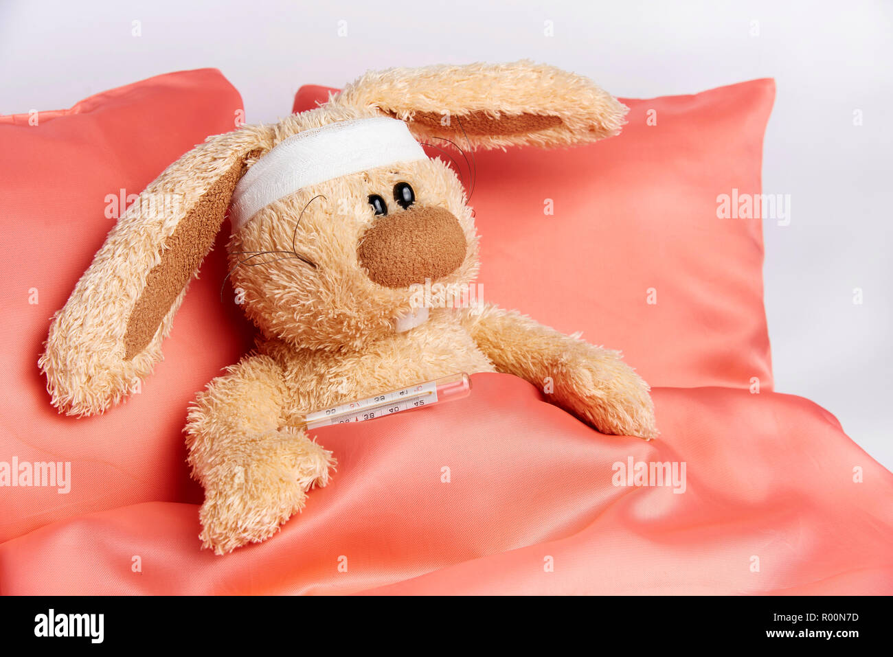 Injured rabbit hi-res stock photography and images - Alamy