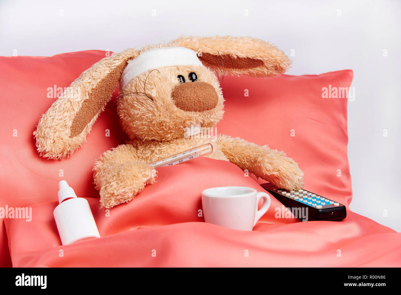 Injured rabbit hi-res stock photography and images - Alamy