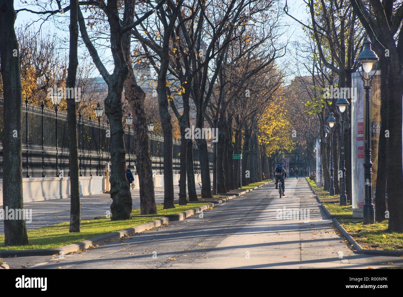 Ringstrasse boulevard hi-res stock photography and images - Alamy
