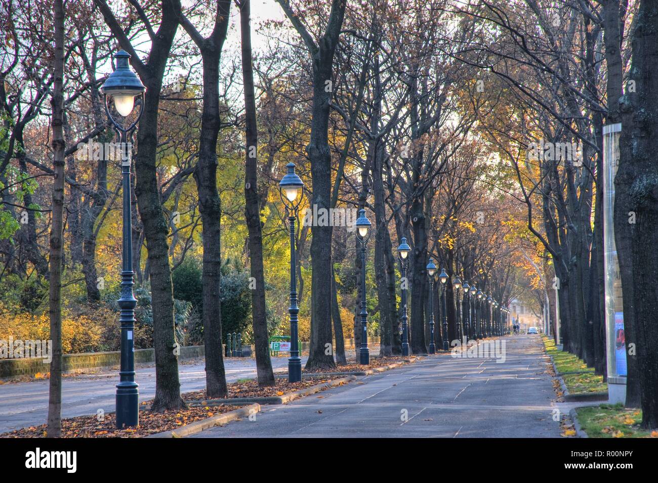 Ringstrasse boulevard hi-res stock photography and images - Alamy