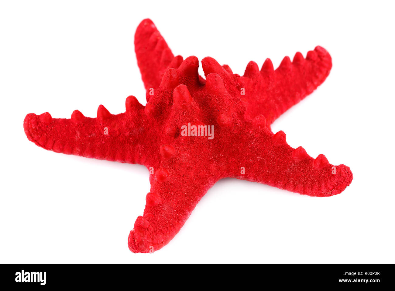Red starfish isolated on white background Stock Photo - Alamy