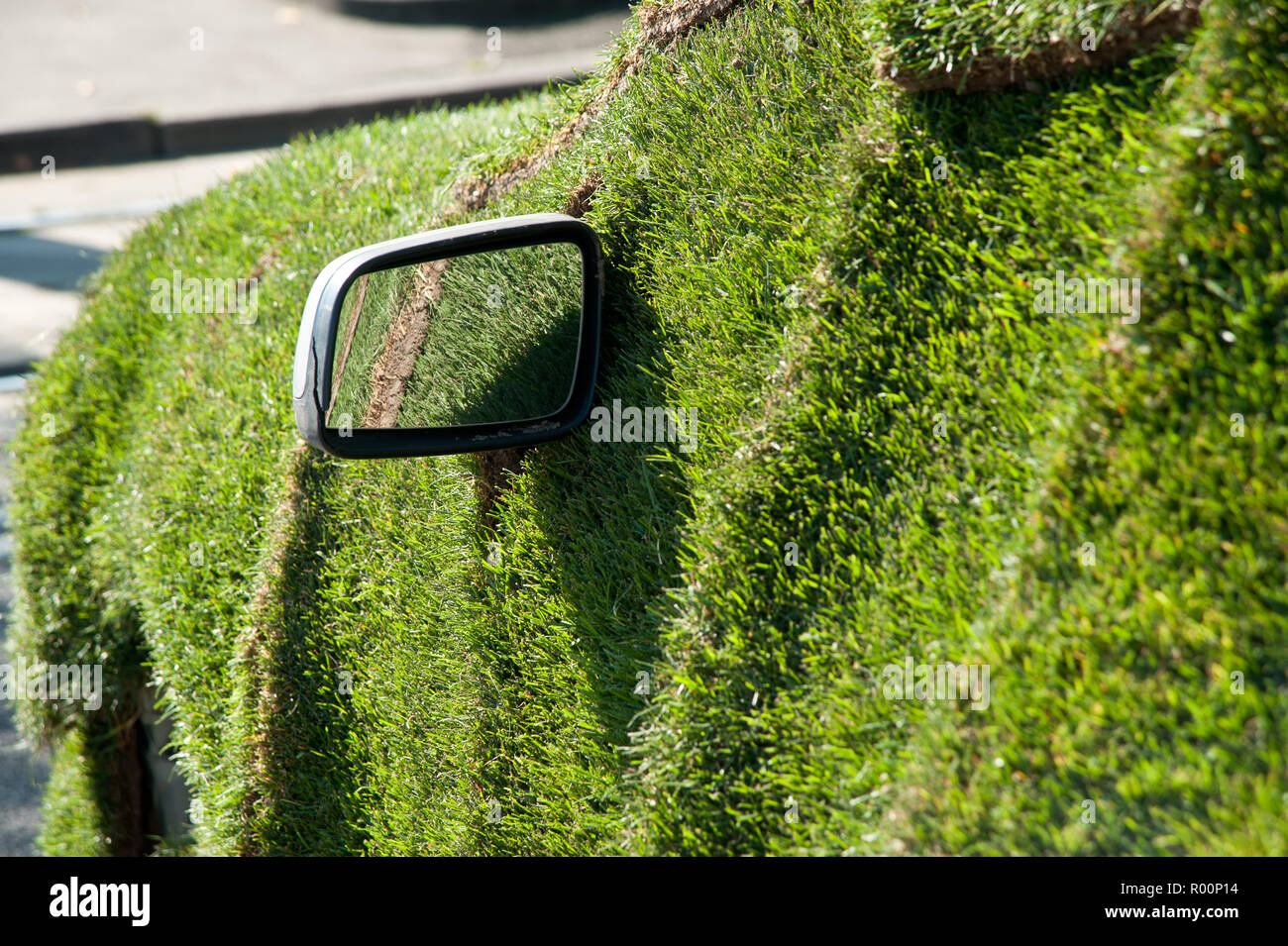 Gras rasen hi-res stock photography and images - Alamy