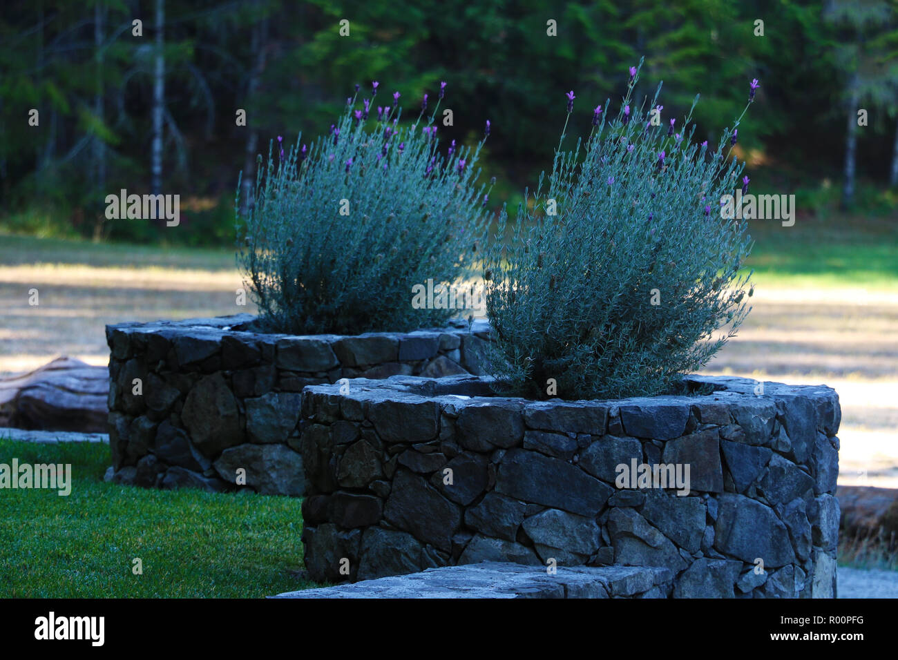 Round Flower Bed High Resolution Stock Photography and Images - Alamy