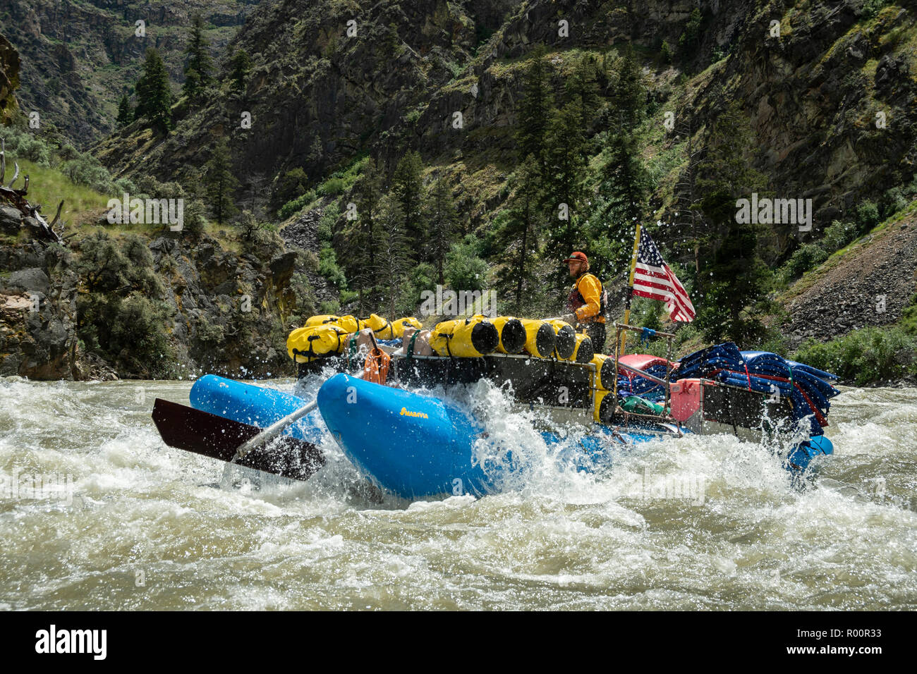 Guiding the sweeper boat on the Middle Fork Salmon River, Idaho with ...