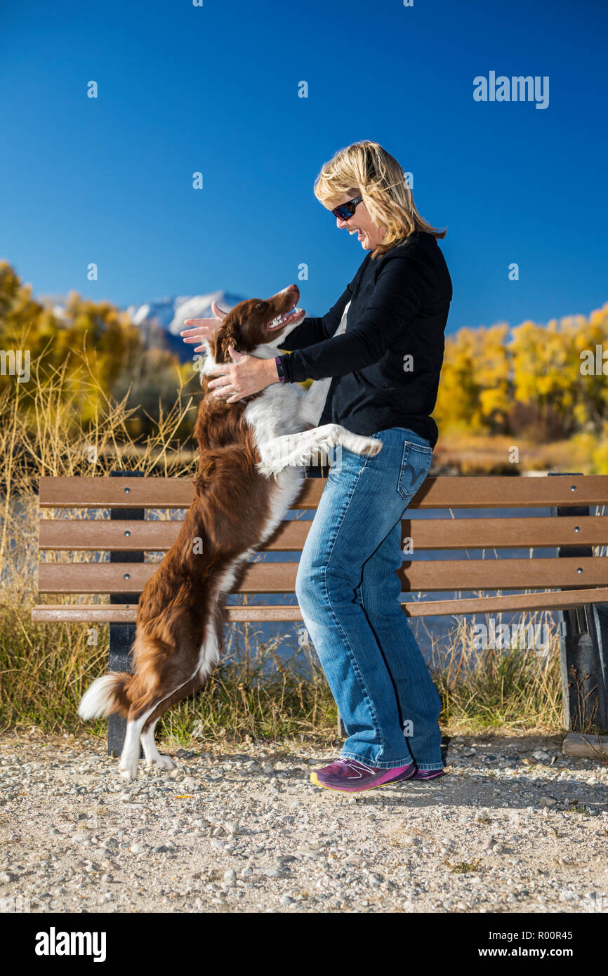 Woman with her friendly jumping Border Collie dog in a park; near ...