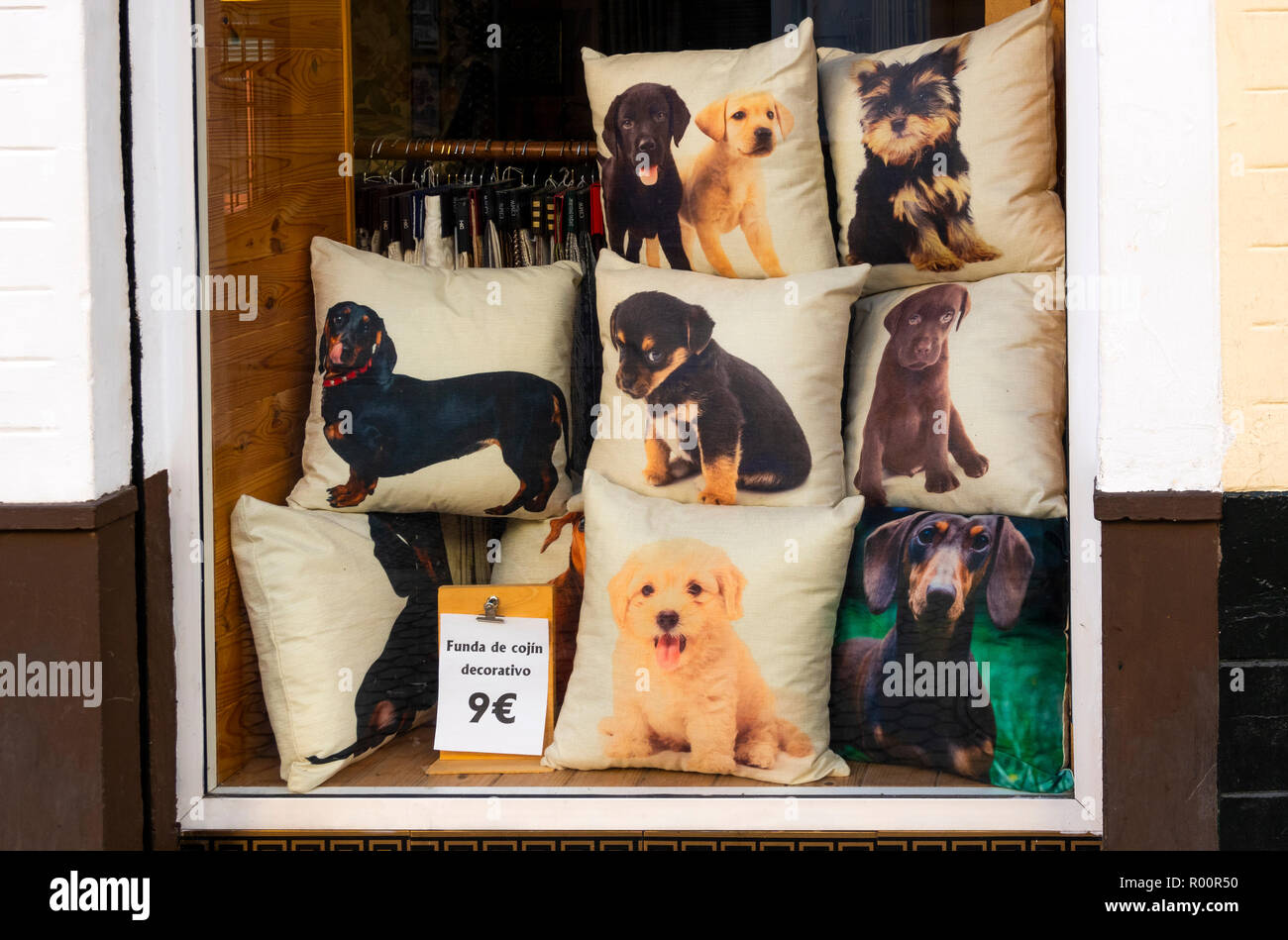 Puppy in a window hi-res stock photography and images - Alamy