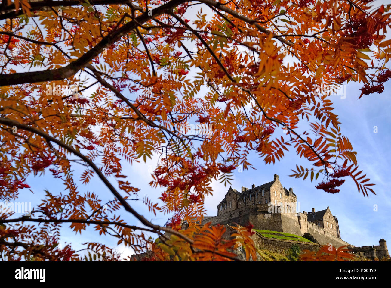 31st of oct hi-res stock photography and images - Alamy