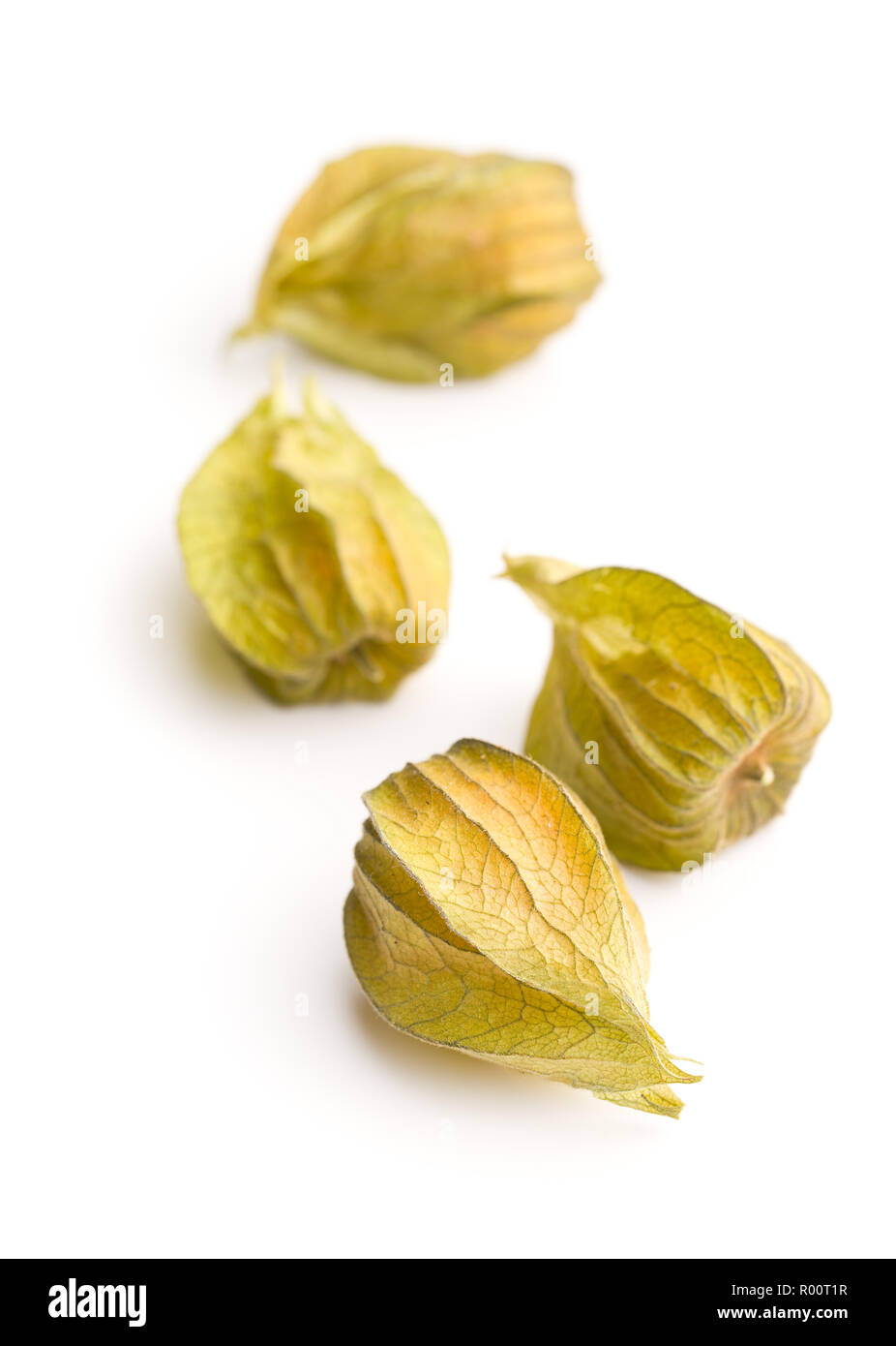 Peruvian groundcherry Cut Out Stock Images & Pictures - Alamy