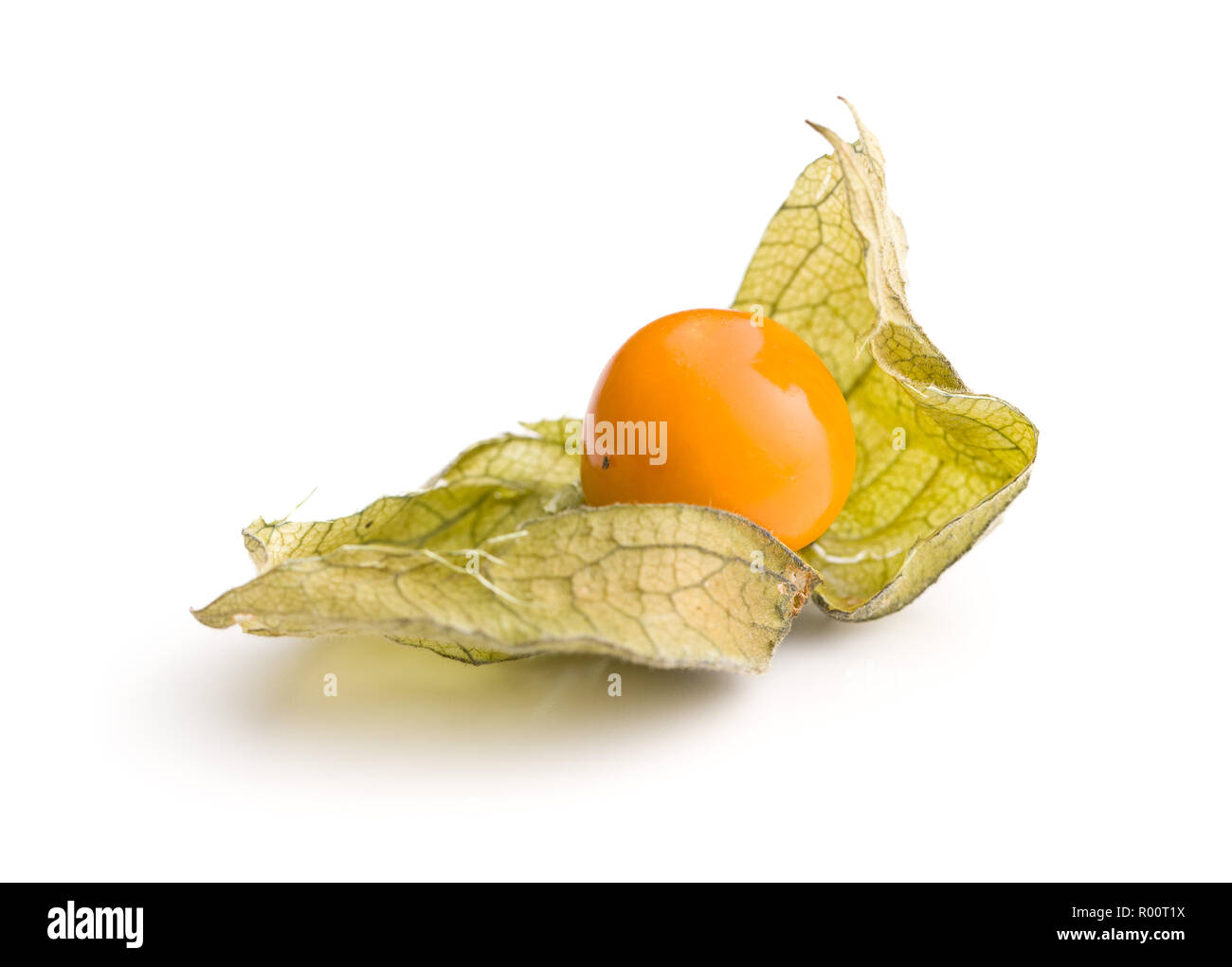 Physalis peruviana fruit isolated on white background Stock Photo - Alamy
