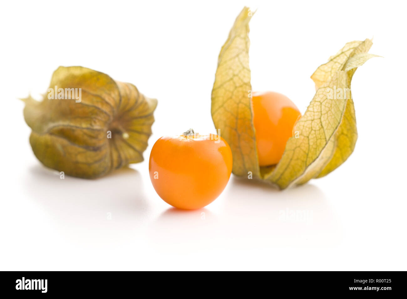Physalis peruviana fruit isolated on white background Stock Photo - Alamy