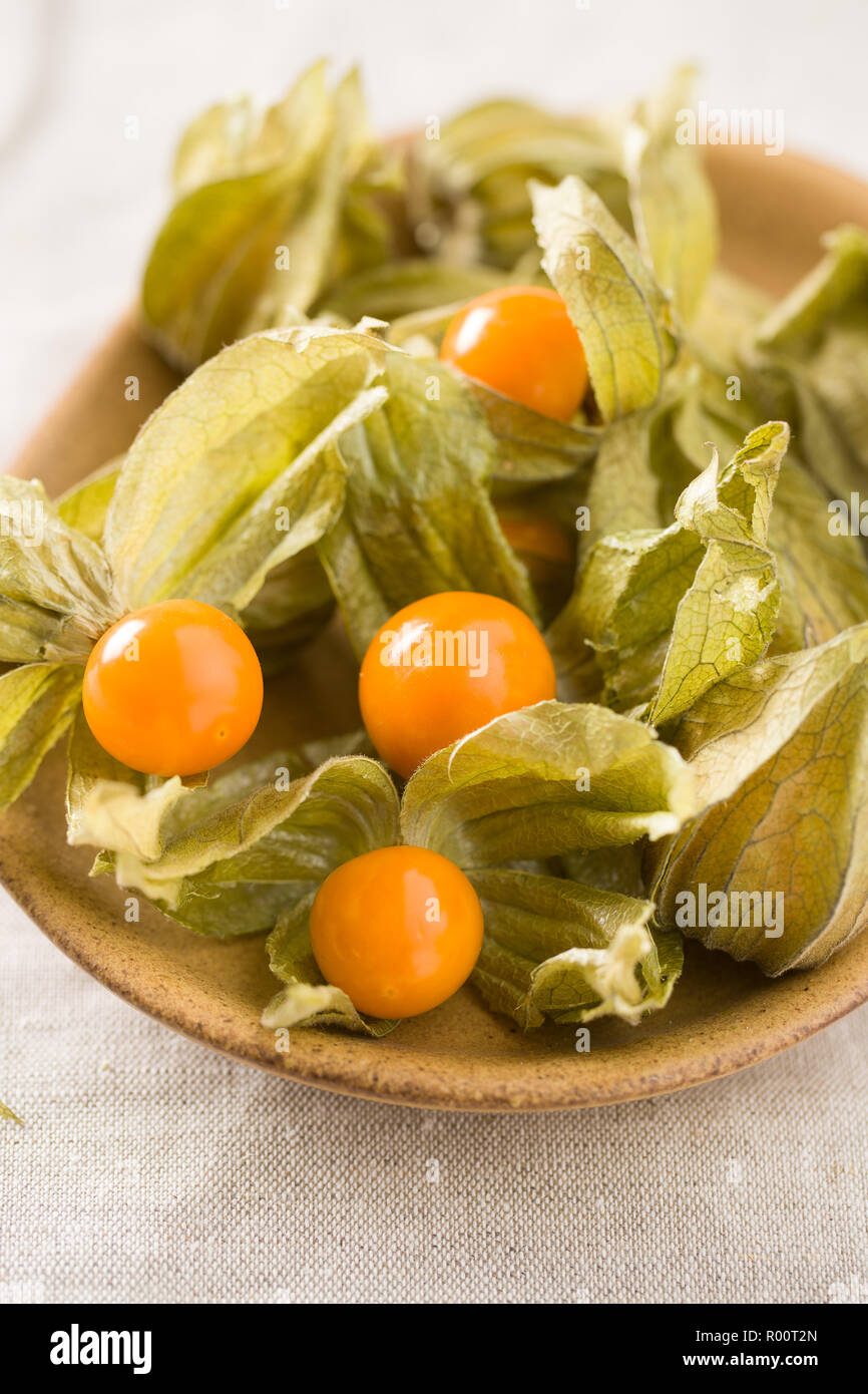 Peruvian ground cherry physalis hi-res stock photography and images - Alamy