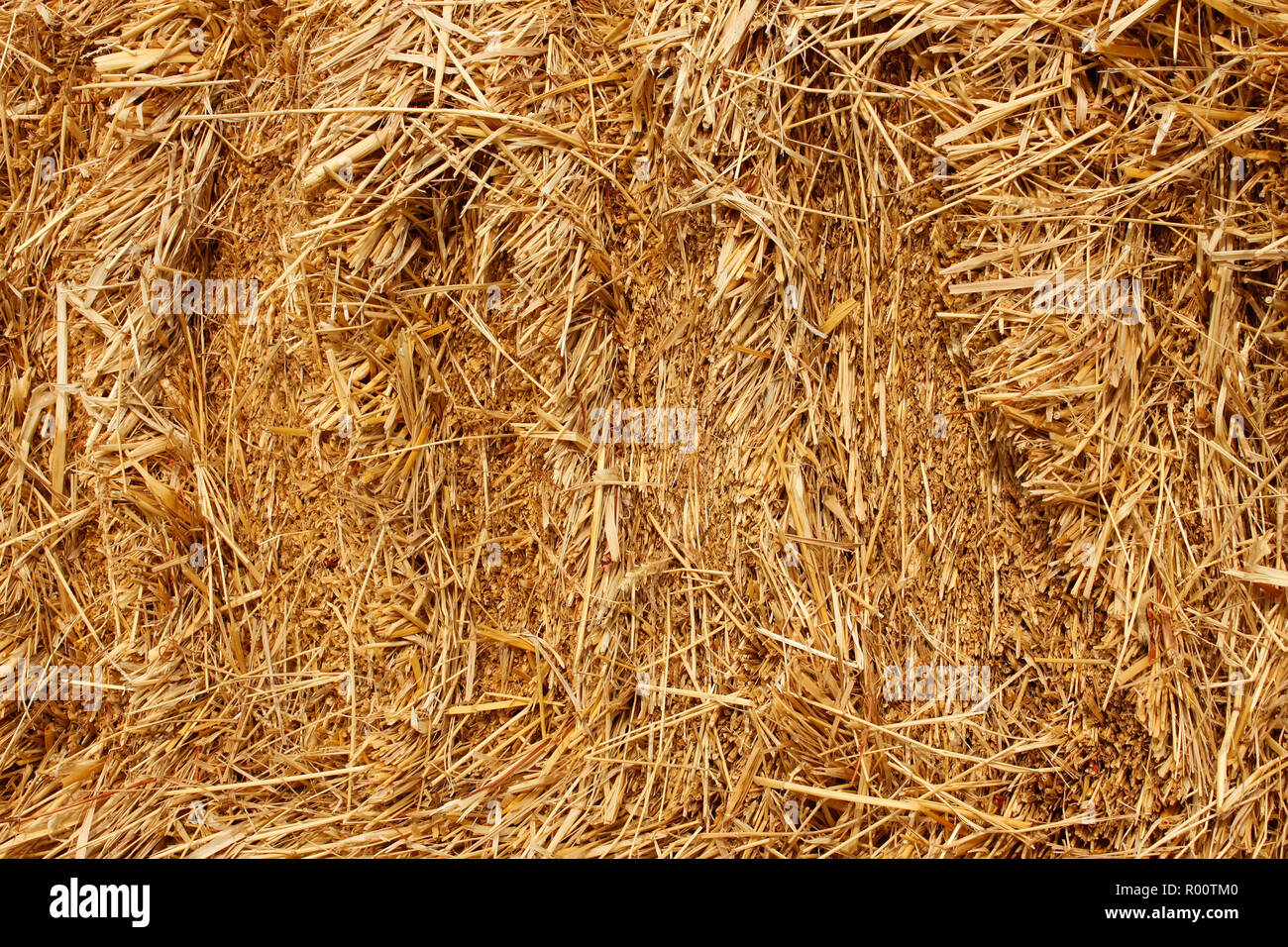 Stack is pressed, cut wheat of straw Stock Photo - Alamy